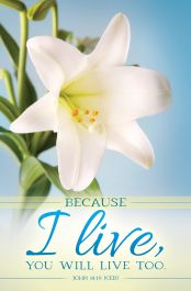 Easter – Because I Live, John 14:19 (CEB) – Pkg 100 – Standard Bulletin ...