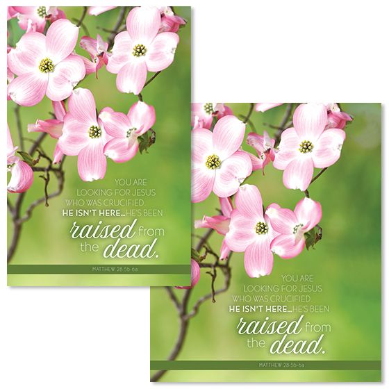 Easter - You Are Looking for Jesus, Matt. 28:5b-6a (CEB) - Pkg 100 ...